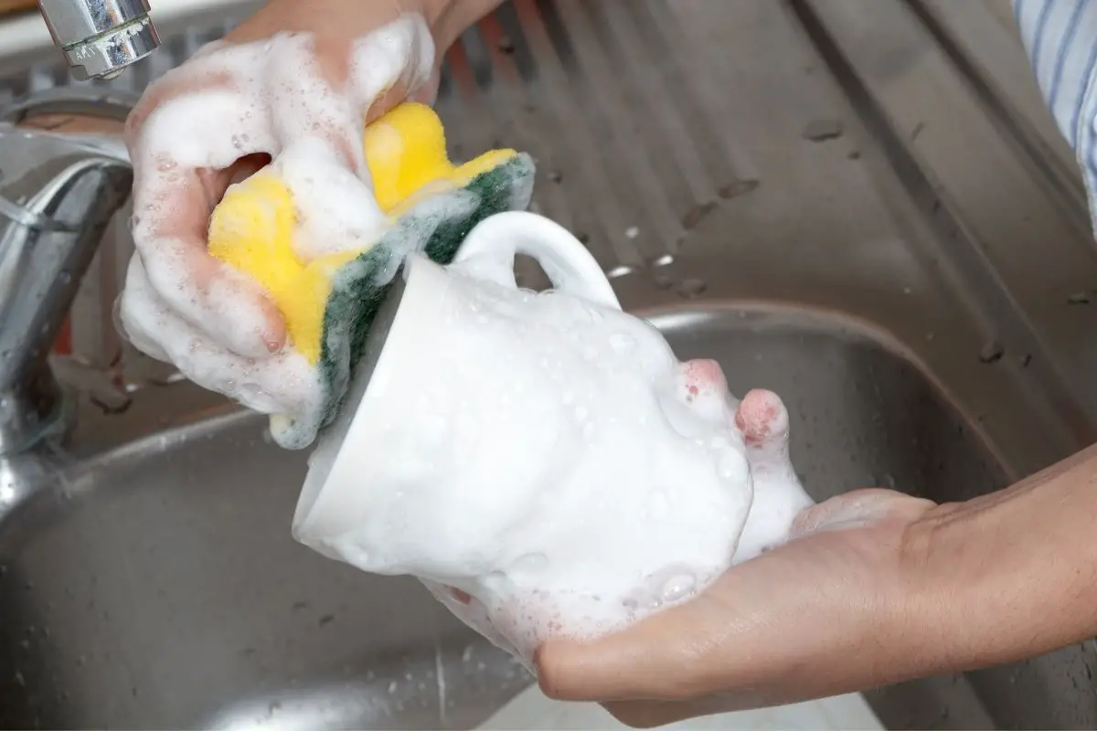 How To Remove Tea Stains From Cups And Mugs (+ Prevention)