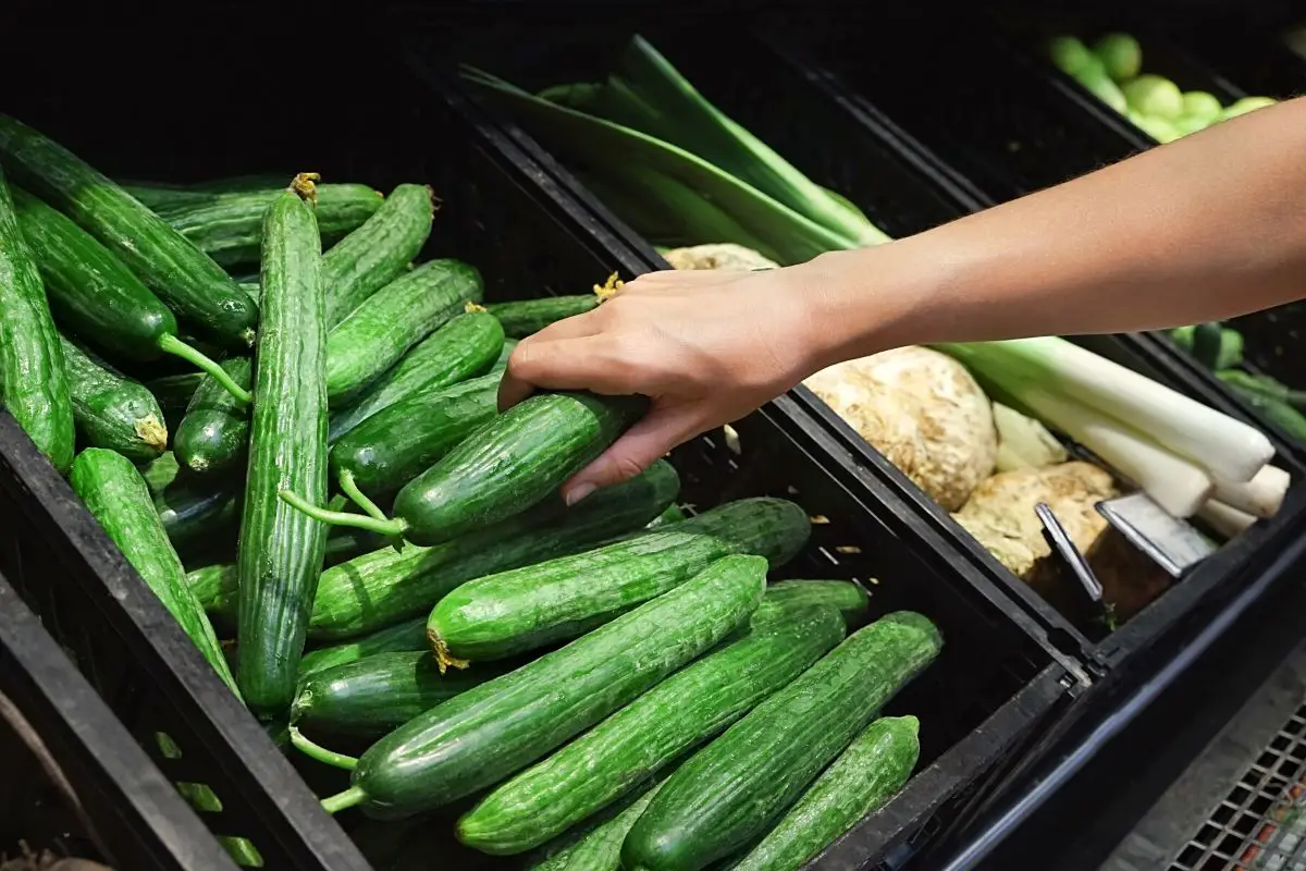 The 10 Most Eaten Vegetables In America (And Most Hated)