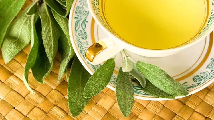 How To Use Sage In Cooking? (10 Ideas For Adding This Herb To Your Diet)