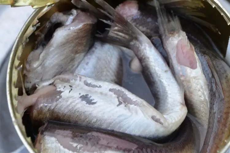 How To Remove Fishy Taste And Smell From Fish? (5 Effective Methods) How To Remove Fishy Taste And Smell From Fish? (5 Effective Methods)