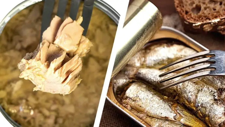 Sardines Vs Tuna — Which Fish Should You Be Eating?