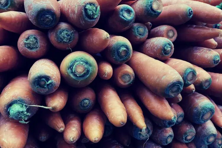 How To Store Carrots Without Refrigeration? (9 Carrot Storage Hacks)