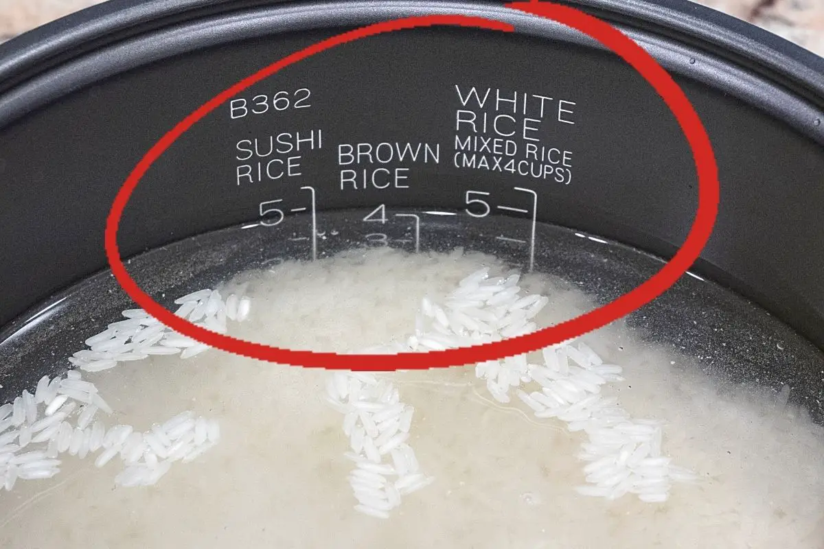 Rice Sticking To The Bottom Of The Rice Cooker? - 7 Helpful Tips!