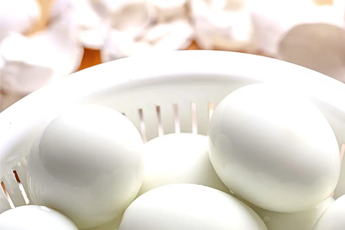 How To Boil Duck Eggs To Perfection (Boiling Times And Tips)