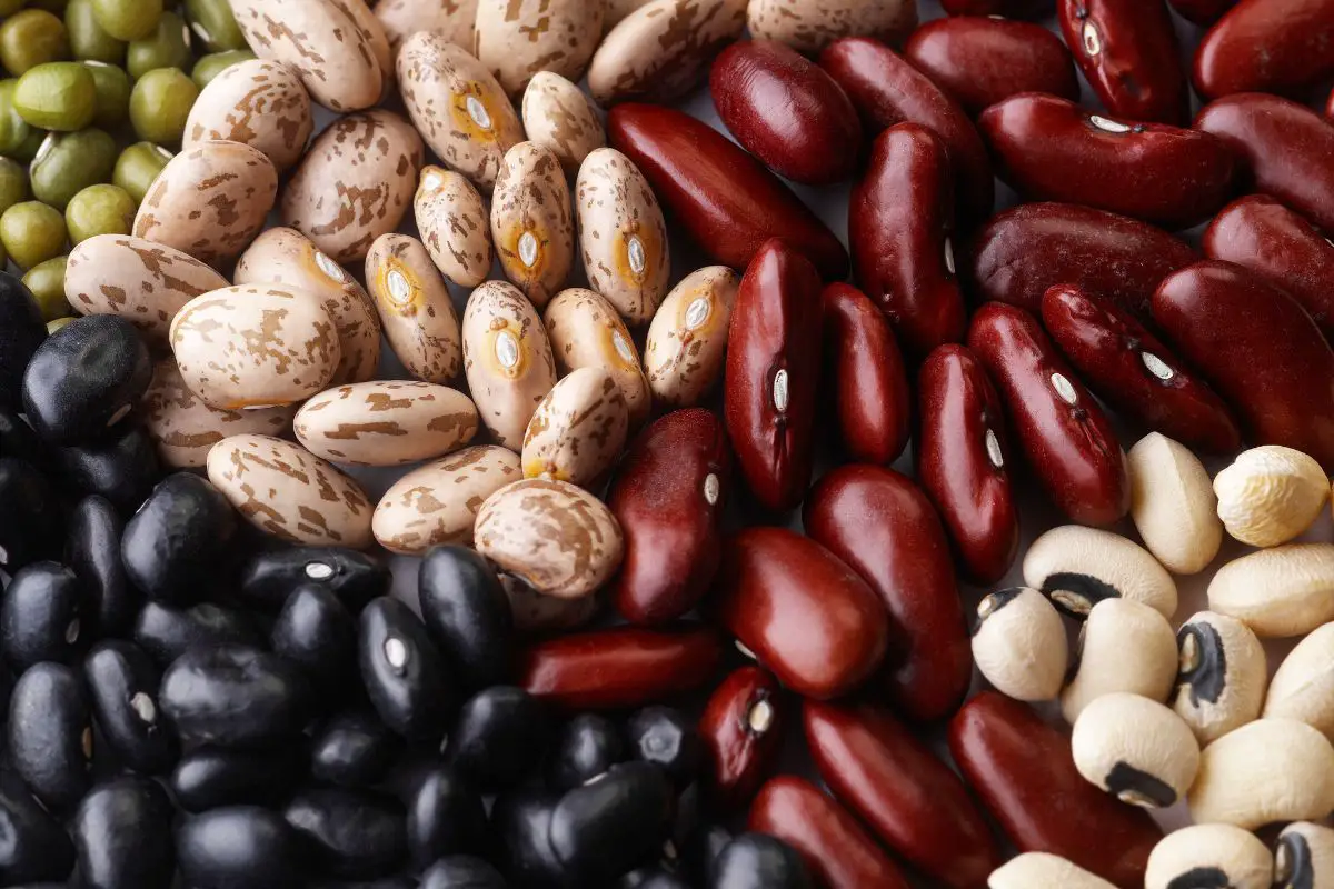 18 Best High-Protein Foods That Are Not Meat