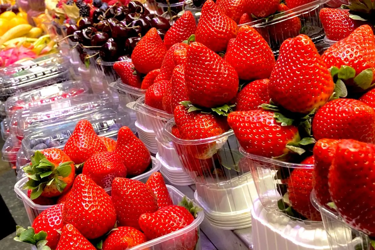 18 Low Oxalate Fruits - List Of Crystal-Clear Choices