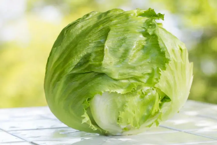 15 Low-Oxalate Vegetables You Can Eat Without Worry