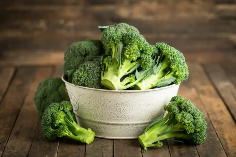 Printable List Of High-Fiber Foods (Free)