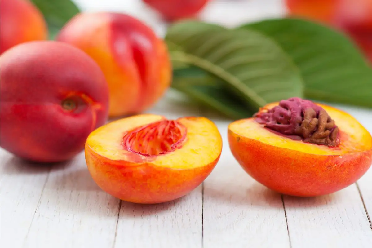 18 Low Oxalate Fruits - List Of Crystal-Clear Choices