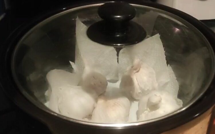 How To Make Black Garlic In A Slow Cooker - Easy 4 Step Guide