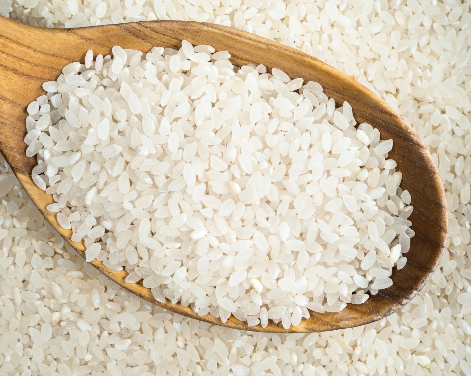 7 Best Paella Rice Substitutes & My Take On Brown Rice