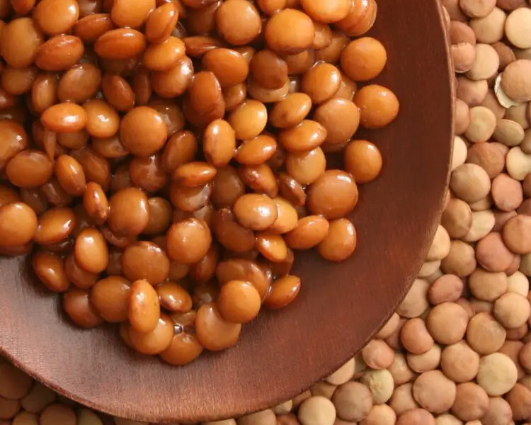 Easy And Healthy Lentil Bread Recipe (No Flour, No Yeast!)