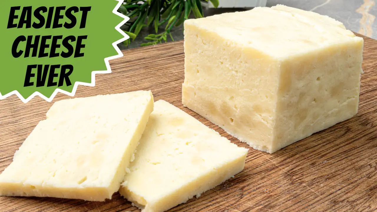 How To Make Cheese At Home (Super Simple Recipe)